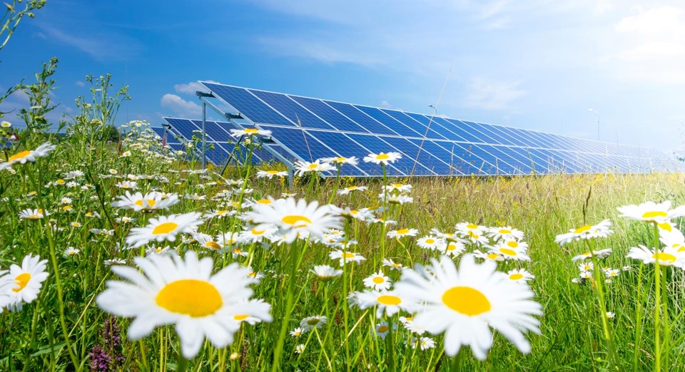 Make an impact – the story of Solnet Group